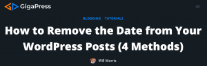 How to Remove the Author Name From WordPress Posts (4 Methods) • GigaPress - CODINGHEROS.COM