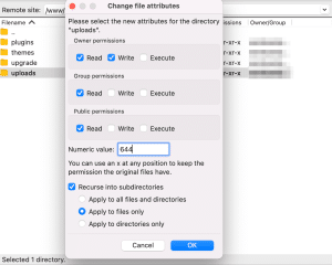 How to Fix the “The Uploaded File Could Not Be Moved To wp-content ...
