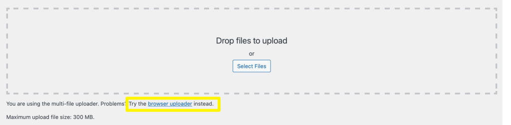 How to Fix the “The Uploaded File Could Not Be Moved To wp-content ...