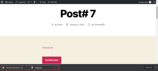 How to Create a Direct WordPress Download Link [A Visual Guide]