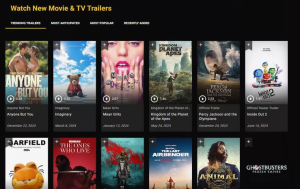 Make a Movie Website with WordPress: Easy Guide for Beginners
