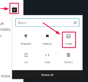 Fix Add Media Button Not Working in WordPress | A Quick Guide
