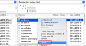 How To Uninstall WordPress: A Clear Beginner’s Guide - CODINGHEROS.COM
